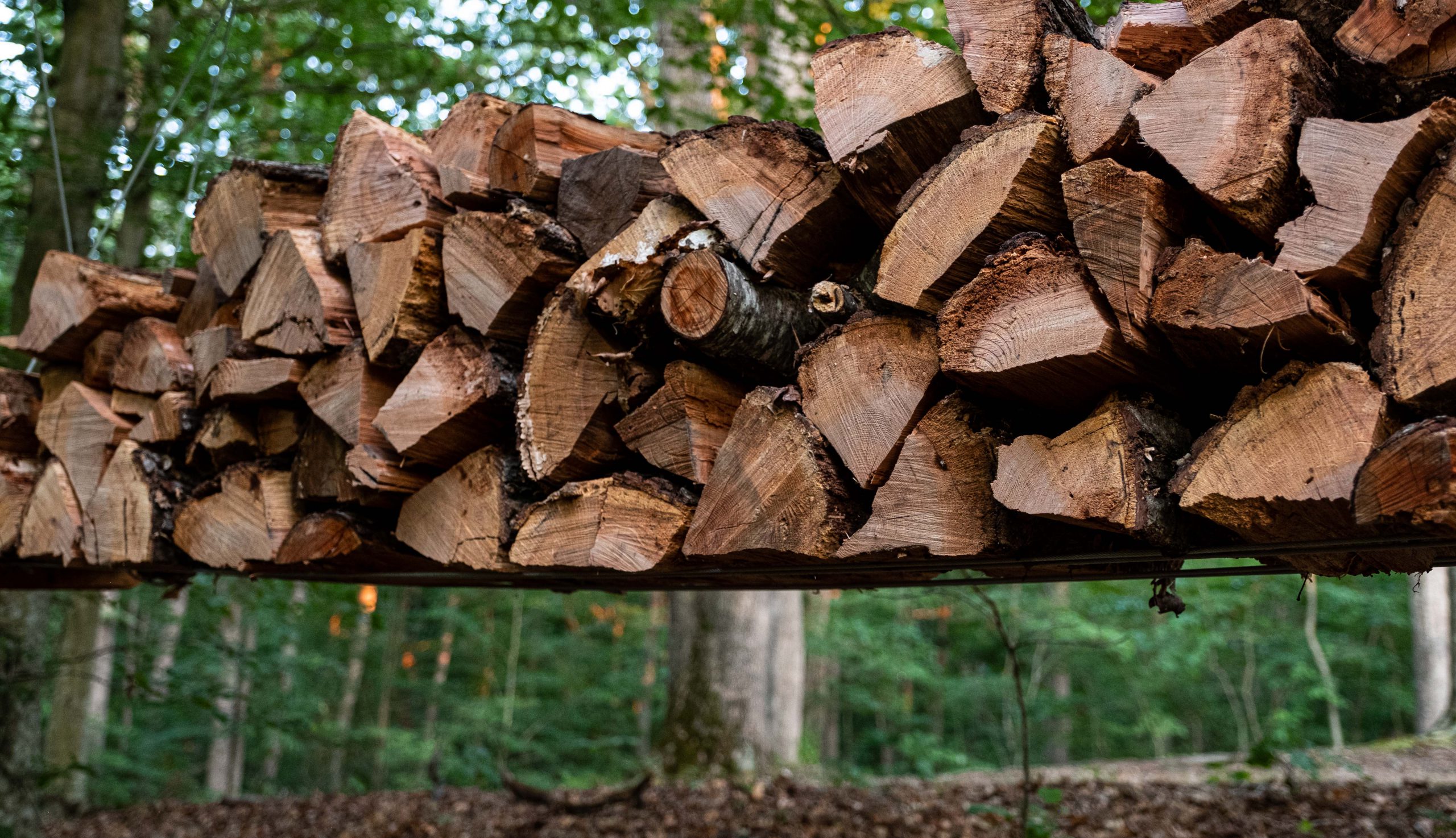Floating Wood - Jason Norfleet